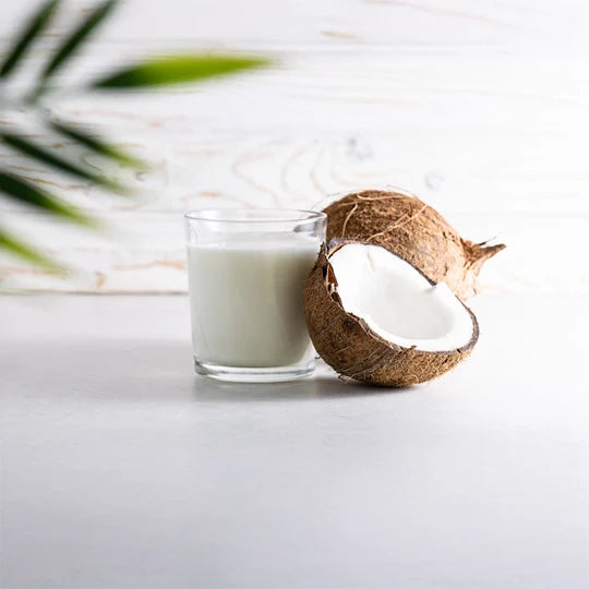 Buy Barista Coconut Milk – Smooth, Dairy-Free Options